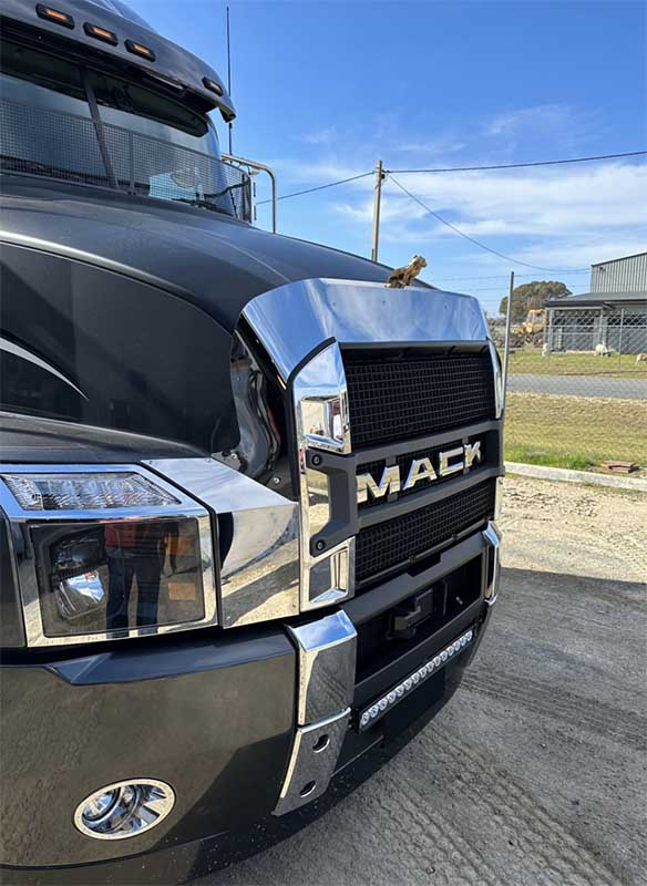 BUG DEFLECTOR ANTHEM W EXTENDED SIDES — Hy Way